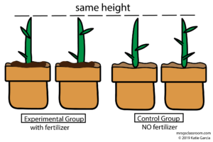 Scientific Method – Closer Look at Science
