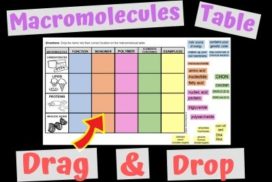 Macromolecules Table – Closer Look at Science